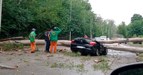 Video Dramático Rescate Del Conductor De Un Auto Aplastado Por Un