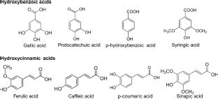 Phytochemistry Reviews X Mol