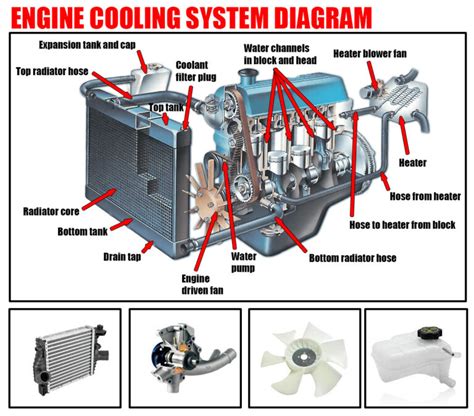 Engine Cooling System Diagram Car Anatomy