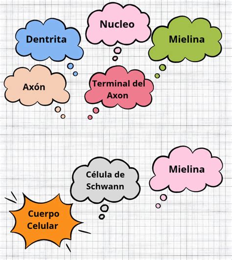 Brainstorming Lluvia De Ideas Mapa Conceptual Doodle Multicolor Pdf