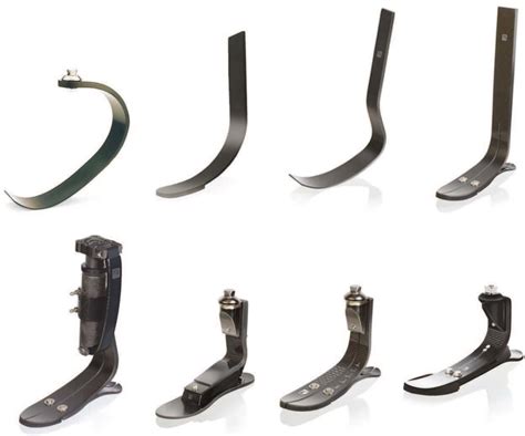 Figure 1 1 From Design Of A Transtibial Prosthesis Utilizing Active And