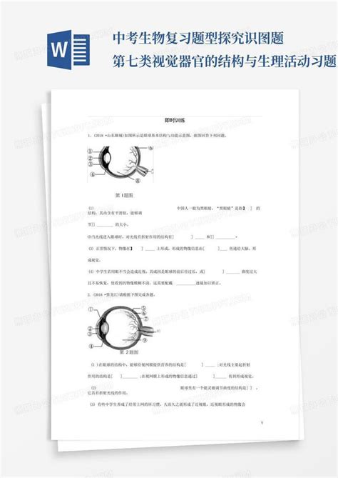 中考生物复习题型探究识图题第七类视觉器官的结构与生理活动习题 图文word模板下载 编号lreaeezj 熊猫办公