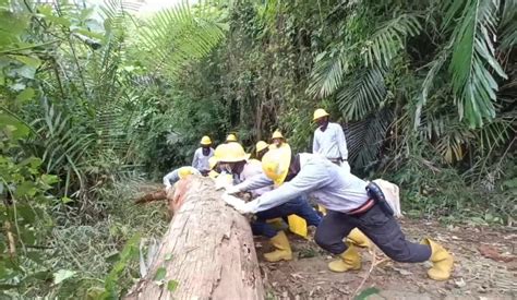 中華鱻傳媒 海葵颱造成逾6594戶停電 台電新營區處：積極搶修中影音
