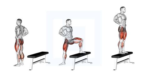 One Leg Squat Guide Benefits And Form