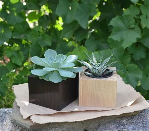 Кашпо — ціна 380 грн у каталозі Кашпо Купити товари для дому та побуту за доступною ціною на