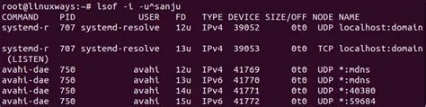Linux Lsof命令用12个实际例子讲解