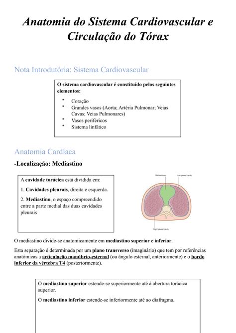 SOLUTION Anatomia Do Cora O E Circula O 11 Docx Studypool