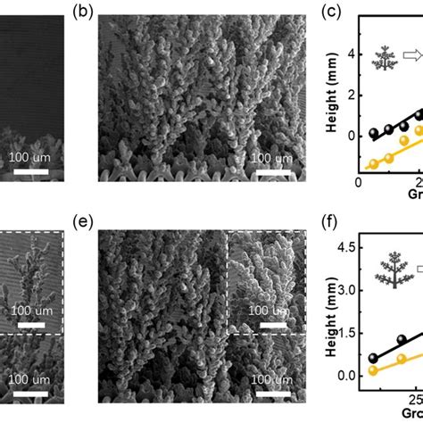 Features Of The Net‐based Solar‐thermal Evaporator Through The