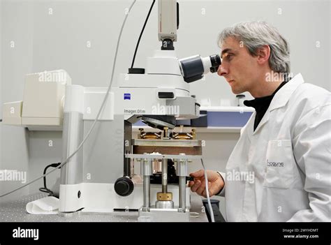 Using A Kerr Microscope To Visualize The Magnetic Domain Structure Of A
