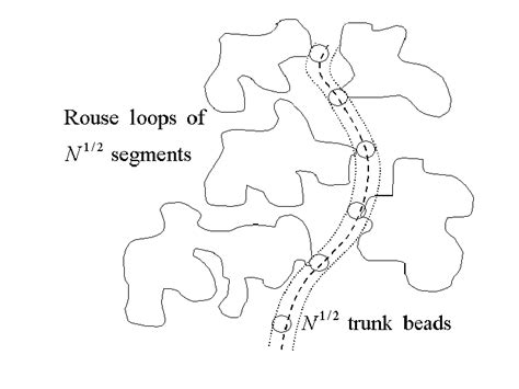 Given The Similarity Of The Lattice Tree Structure To The Randomly