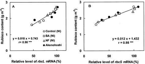 Relationships Between The Relative Levels Of Rbcl Mrna A And Rbcs