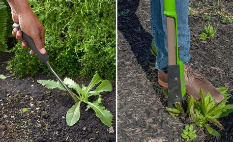 The Best Weeding Tools For Your Yard The Home Depot