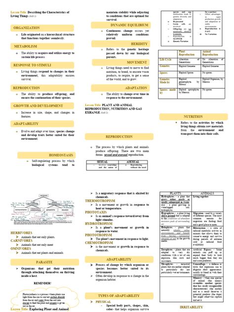 Boilogy 2 Download Free Pdf Sexual Reproduction Spore