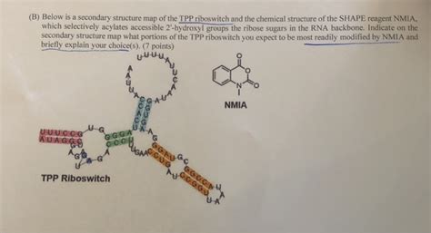 Solved B Below Is A Secondary Structure Map Of The Tpp