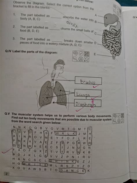 Pis Vadodara Std 4 Evs Human Body Systems Workbook And Textbook Exercise