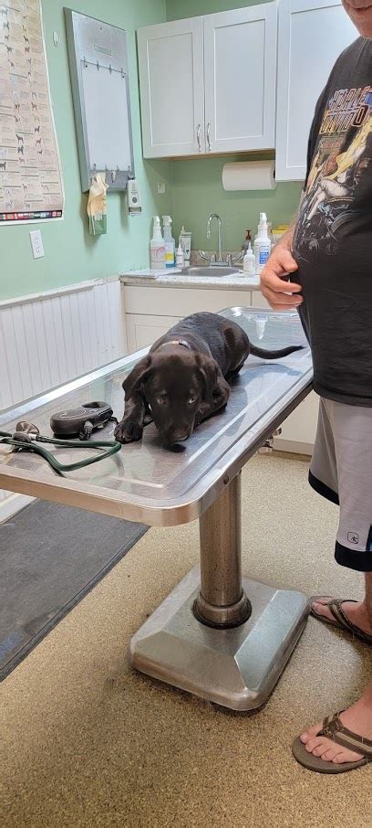 Three Rivers Veterinary Clinic West Salem Illinois