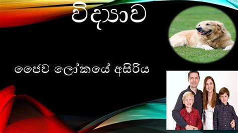 විද්‍යාව ජෛව ලෝකයේ අසිරිය Youtube