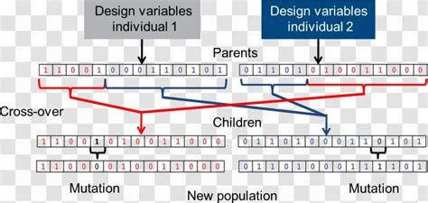 Genetic Algorithm Crossover Mutation Chromosome Number Genetics