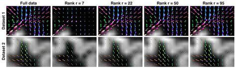 Fibre Orientation Distribution Functions In The Full Data Left