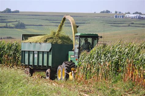 Chopping Silage On The Farm