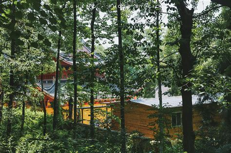 去浙西隐世小城，寻找山野小时光 衢州旅游攻略 游记 去哪儿攻略