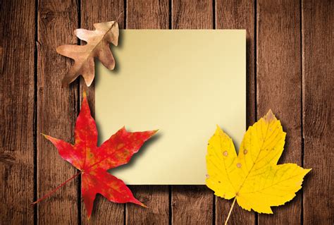 Kostenlose Foto Baum Ast Blatt Blume Rot Herbst Bunt Gelb
