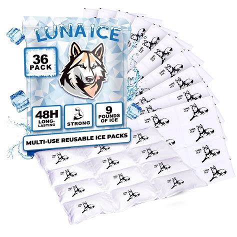 Buy Luna Ice Bulk 12 600 Ice Packs Dry Ice For Shipping Frozen Food
