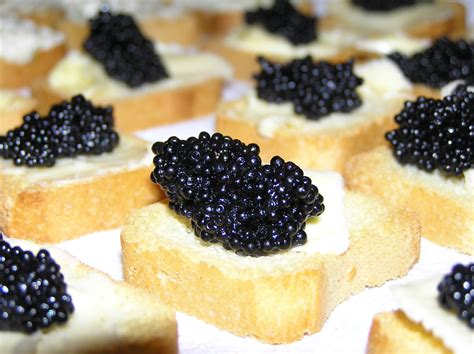 ODAYS TRAVEL WOES 91 HOW I TAUGHT THE WORLD TO EAT CAVIAR DAN O