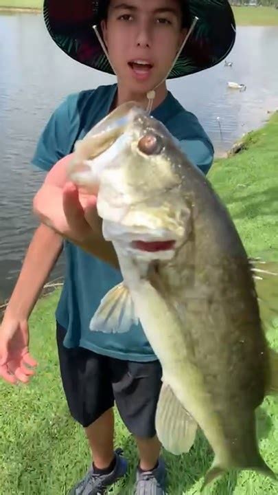 Freaky Blind Largemouth Bass Release In Florida Lake😳 Shorts Fishing