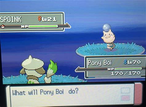 [gen 4] Shiny Spoink R Shinypokemon