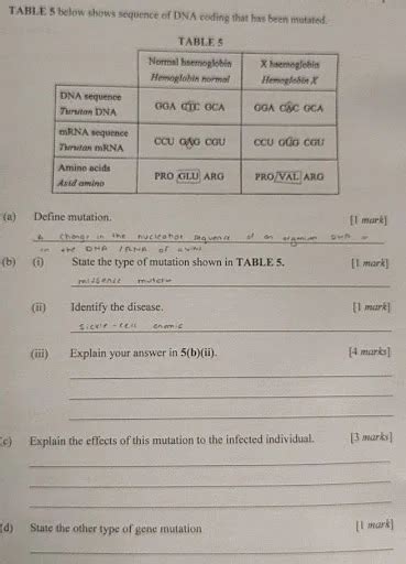Tabl E 5 Below Shows Sequence Of Dna Coding That Has Been Mutated Table