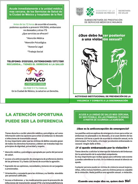 Violen Sex Pdf Violación Control De La Natalidad