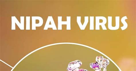 Explained What Is Nipah Virus Know Its Symptoms Treatment And More