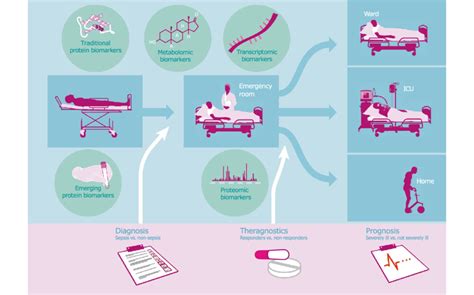Host Response Biomarkers For Sepsis In The Emergency Room Er A