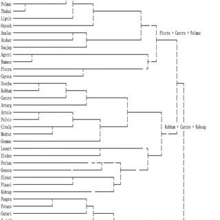 A Dendrogram Of Plant Species Using Average Linkage Between Groups Download Scientific