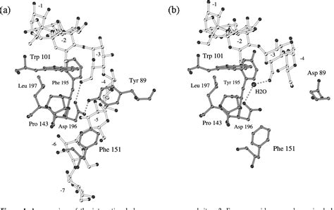 Figure 1 From Rational Design Of Cyclodextrin Glycosyltransferase From