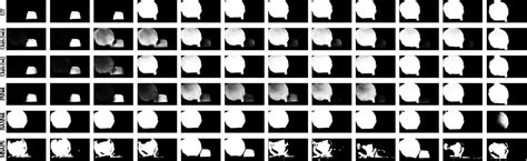 Salient Object Detection In Egocentric Videos Zhang 2024 IET