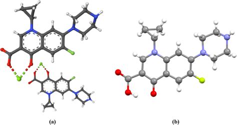 Ciprofloxacin Molecule Geometries In Gyrase Dna Complex A ²⁰ And Download Scientific Diagram