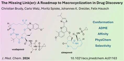 Macrocycles Can Lock The Conformation Of Drug Candidates And Enhance