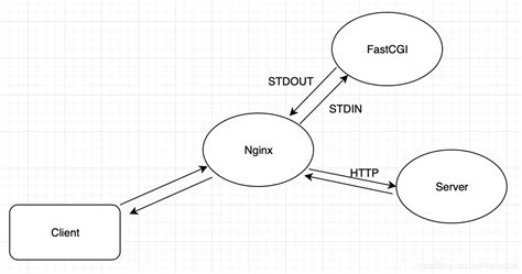 Nginx如何使用fastcginginx Fastcgi Csdn博客