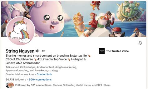 Funny Linkedin Summary