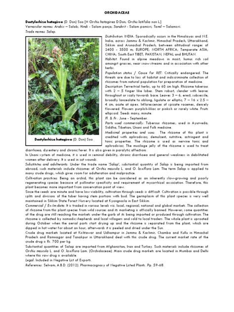 Dactylorhiza Hatagirea Pdf Plants Horticulture And Gardening