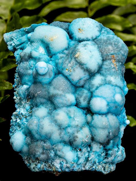 Natural Botryoidal Blue Hemimorphite Cluster Majestic Quartz