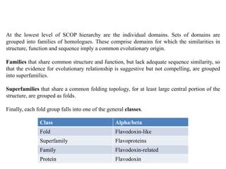 BT631 8 Folds Proteins PPT