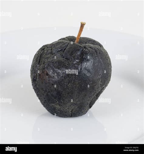 An Apple Black Two Years Old Chemical Pesticide Treatment Evident Non Organic Fruit Stock