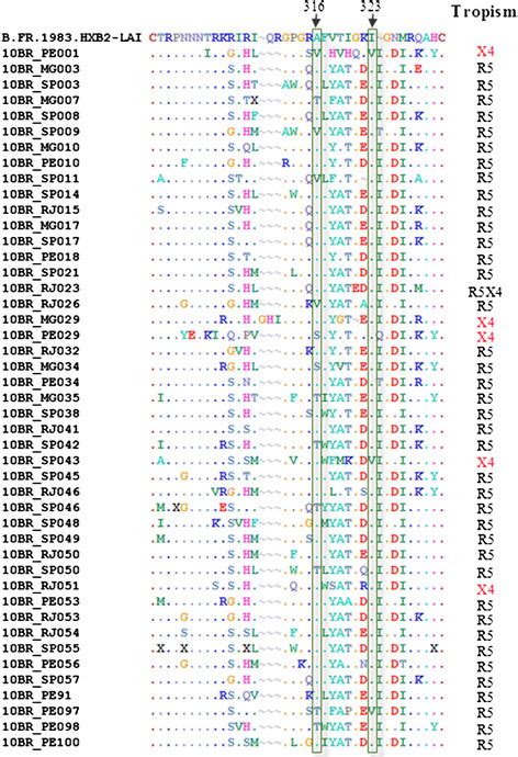 Amino Acid Alignment Of V3 Sequences The Consensus Sequence From Each
