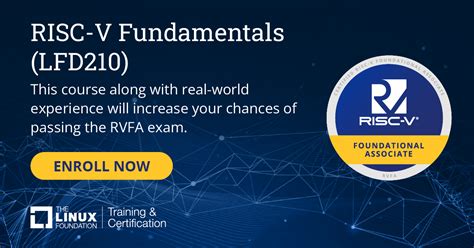 Leveraging A Passion For Logic Into A Risc V Career Risc V International