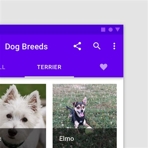Material Design