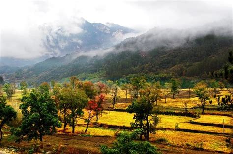 安徽大別山將建最美公路 一線串起精華風景 每日頭條