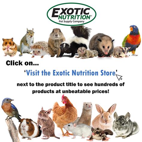 Buy Sugar Glider Complete Food Starter Package Nutritionally Complete